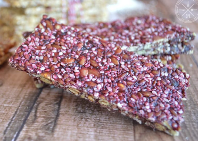 Raw Fusion Bars Recipe - A Paleo Snack Bar Made for Energy!