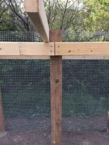 Backyard Chicken Coop DIY Inspiration with Over 50 Photos