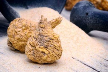 The Top 10 Benefits of Using a Maca Root Supplement