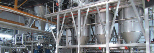 What is Stevia? Everything you need to know about Stevia