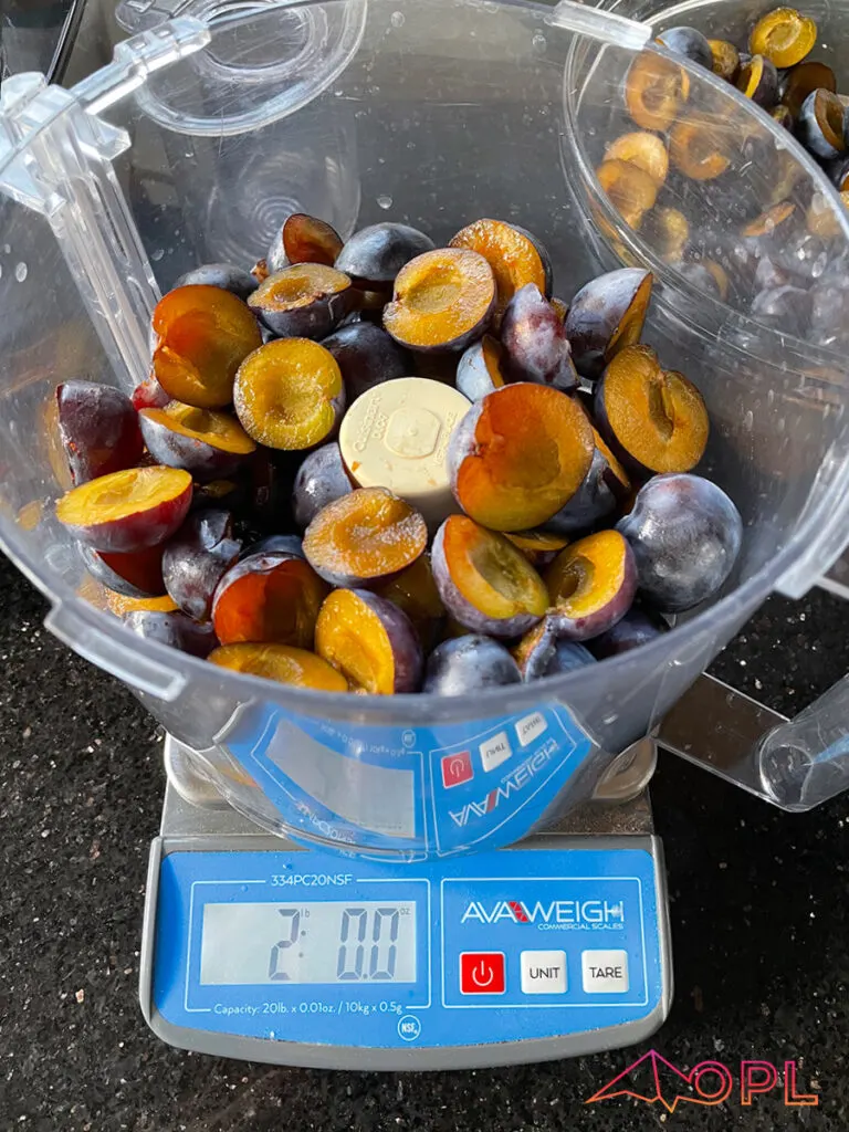 Freeze Dried Plum Bites Recipe from Our Paleo Life