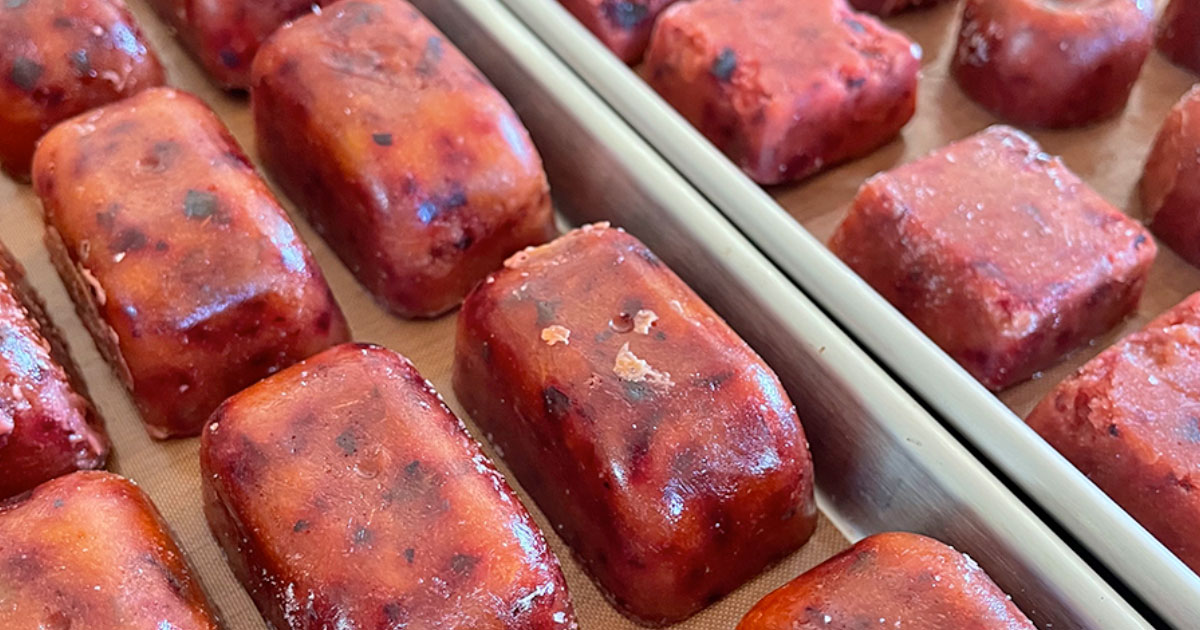 Freeze Dried Plum Bites Recipe from Our Paleo Life