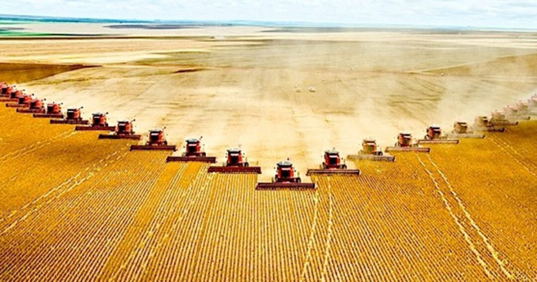 Fake Meat (Mono-Crops, Ethical Food Choices & Nutrition)